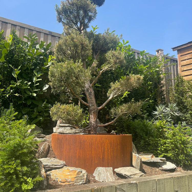 Corten Steel Hampton Bottomless Cylindrical Planter – Lateral Design Studio